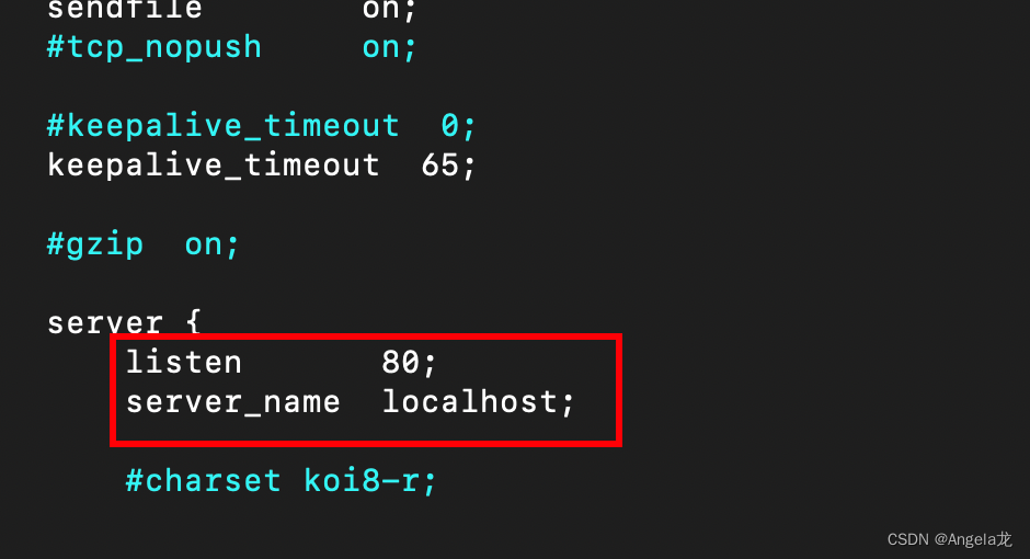nginx教程:安装/简单使用_nginx 安装命令-CSDN博客