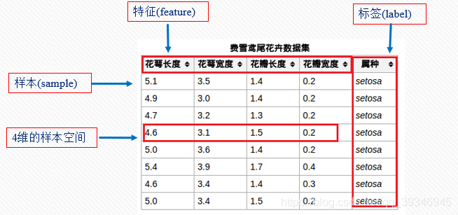 基于python37—spyder，用knn实现鸢尾花iris数据集分类鸢尾花分类python算法 Csdn博客