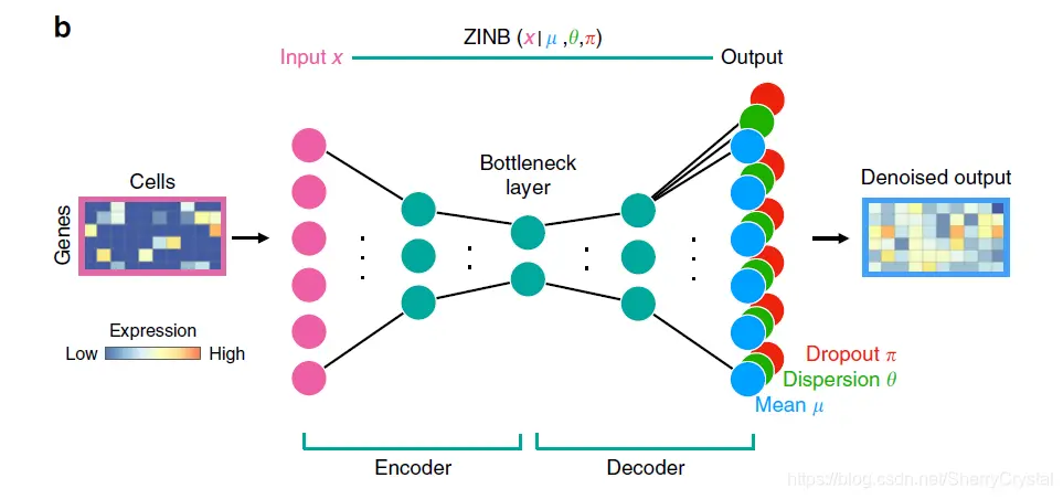 10X单细胞（10X空间转录组）基础知识之AutoEncoder（自编码器）_autoencoder单细胞-CSDN博客