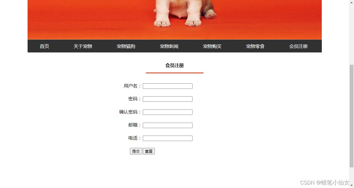 60 可爱的宠物主题网页 Web前端网页制作 大学生期末大作业 Html Css 萌宠俱乐部网页制作源代码 Csdn博客