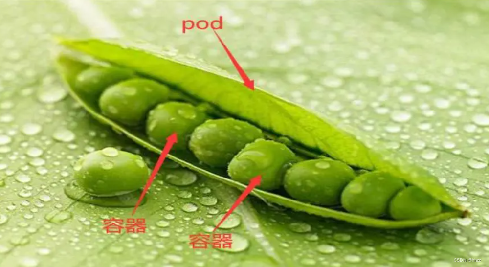 8种Kubernetes集群中Pod处于 Pending状态的故障排除方法_pod pending-CSDN博客