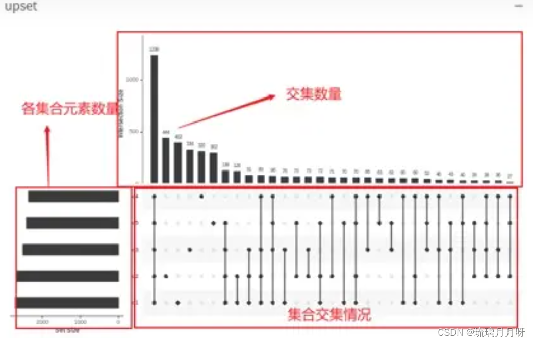 （23）用R做花瓣图和在线网站upset图_upset图在线绘制-CSDN博客