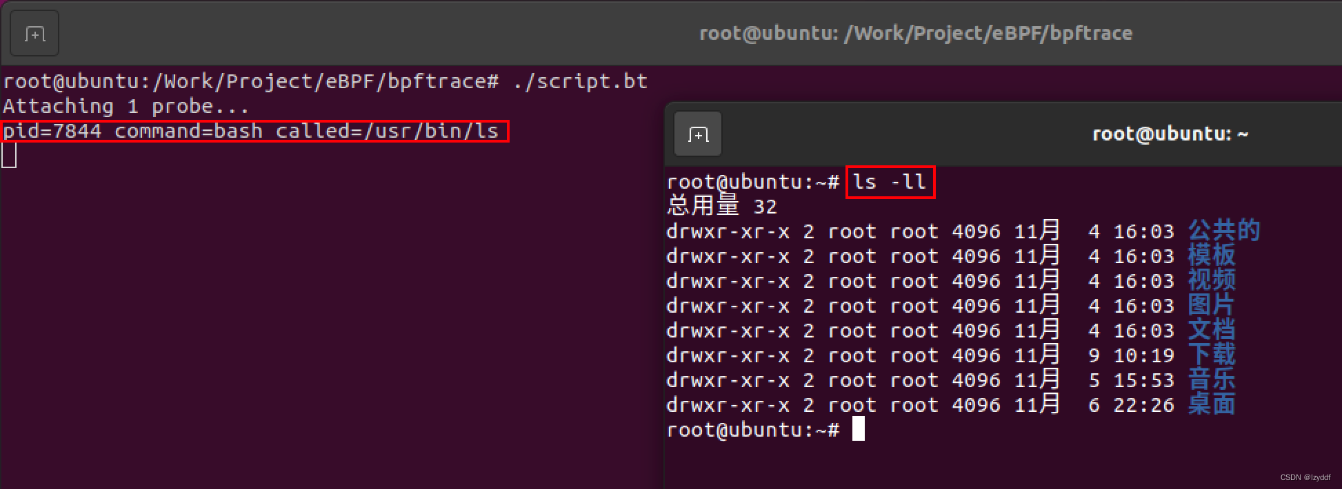 eBPF学习笔记（二）—— eBPF开发工具_python ebpf-CSDN博客