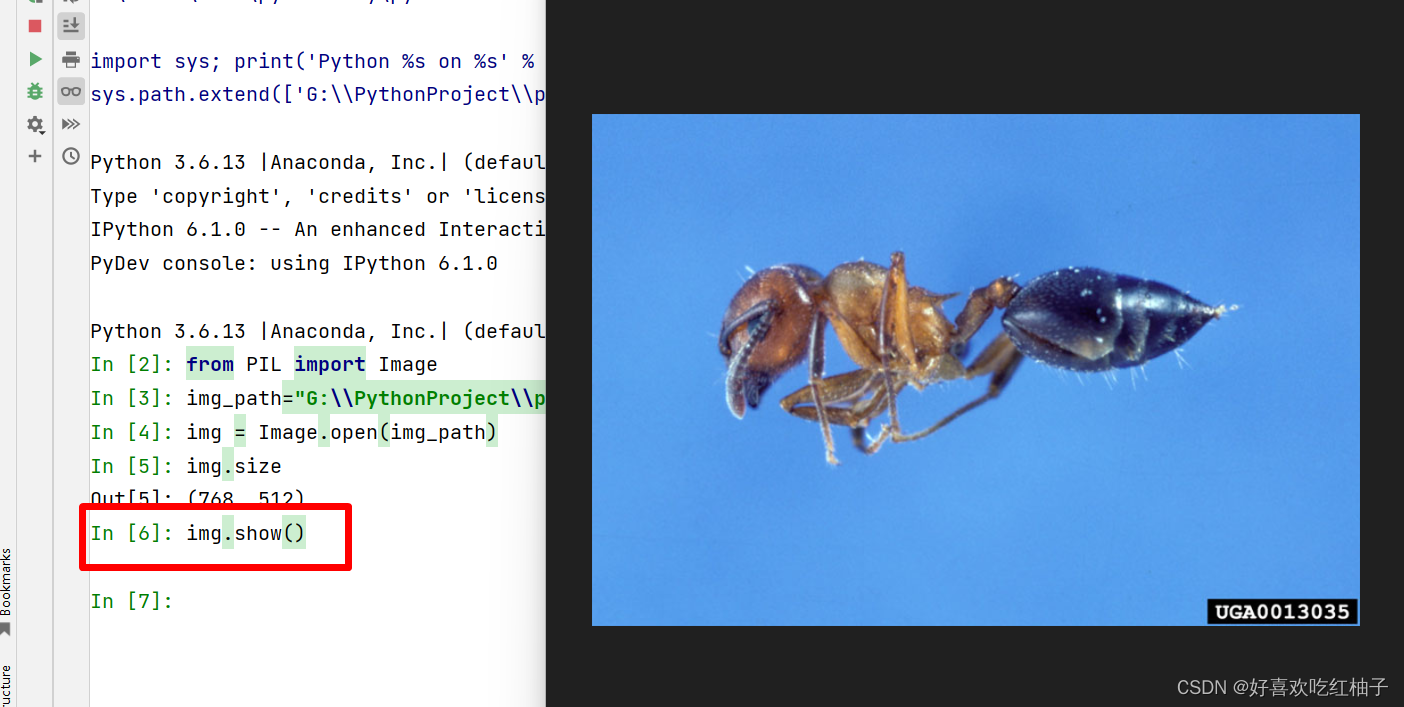 pytorch初学笔记（一）：如何加载数据和Dataset实战_python dataset-CSDN博客