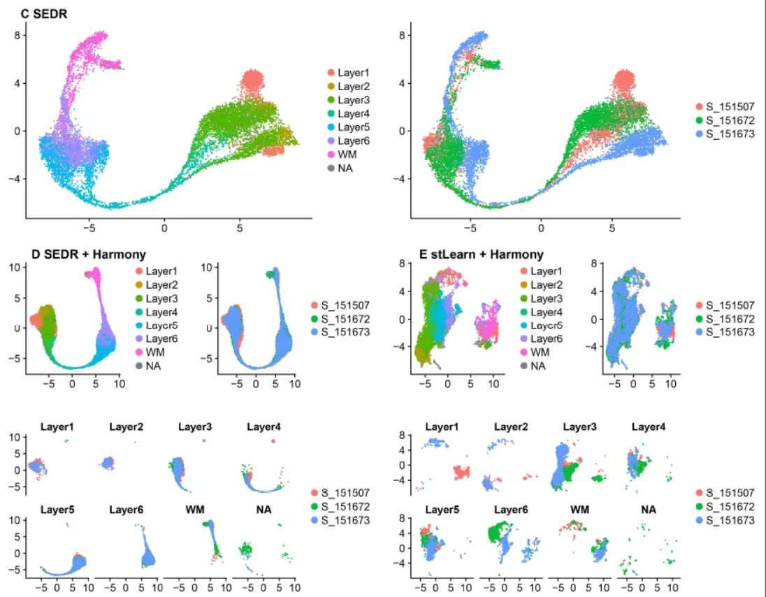 10X空间转录组分析之转录组信息 & 空间位置的联合分析（SEDR）_sedr代码-CSDN博客
