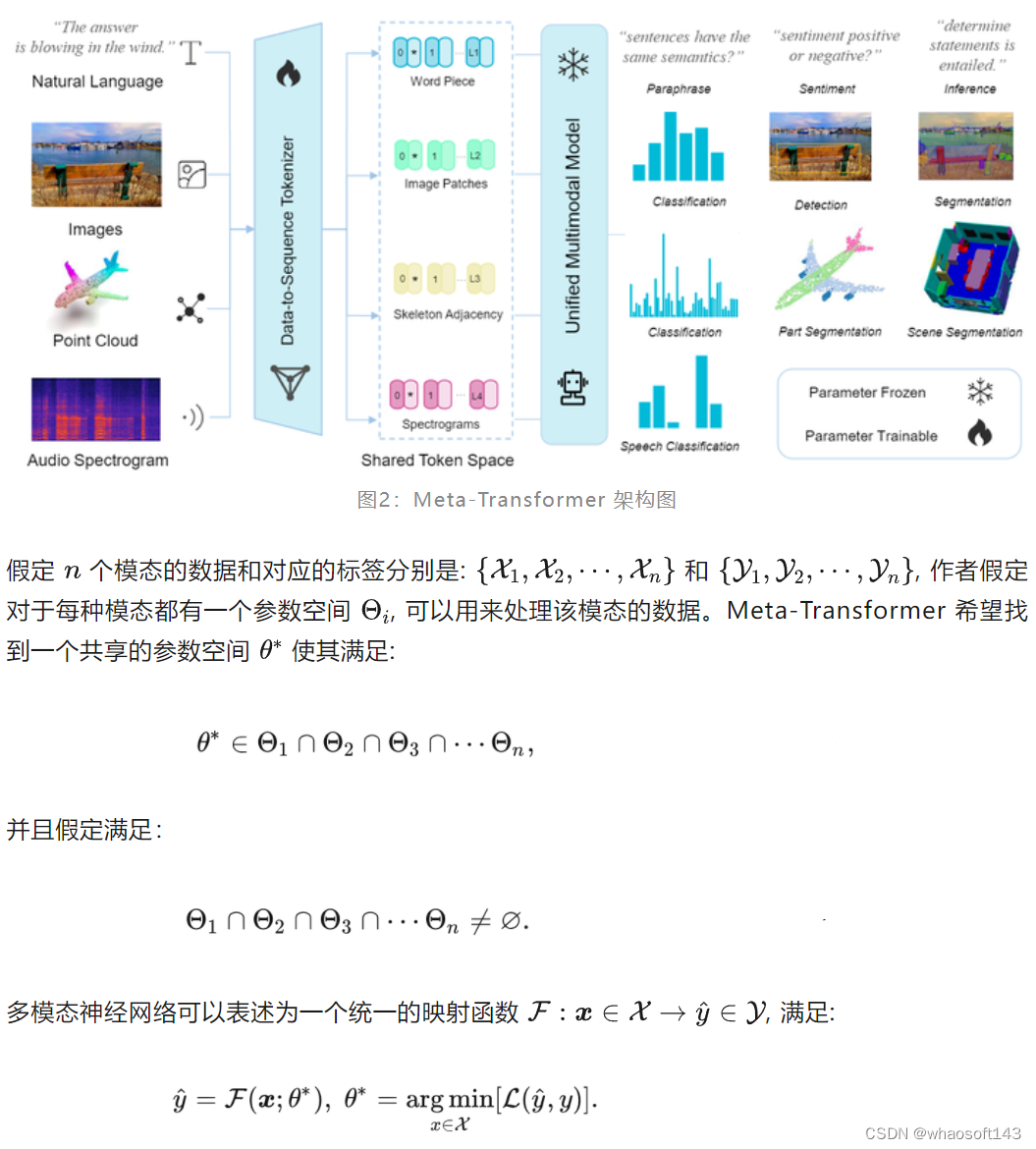 Meta-Transformer-CSDN博客