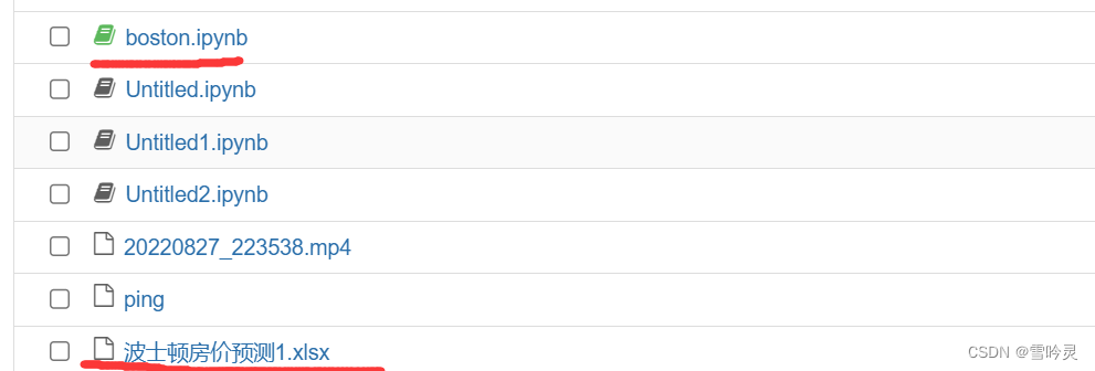 解决 ImportError: Missing optional dependency ‘openpyxl‘. Use pip or ...