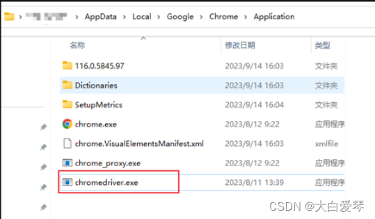 Selenium安装WebDriver最新Chrome驱动(含116/117/118/119)_webdriver.chrome.driver-CSDN博客