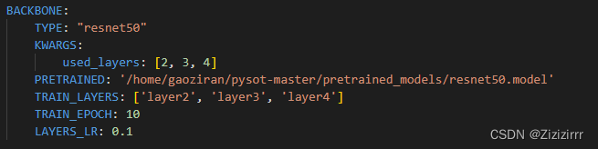 pysot-master-train.py 运行记录_pysot训练-CSDN博客
