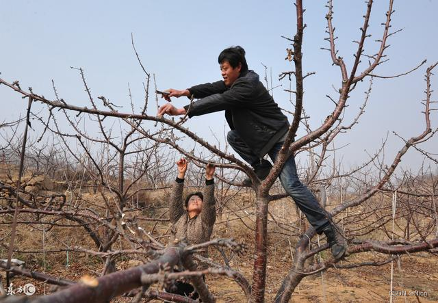 【算法】回溯：与递归，dfs的同质与分别，剪枝与恢复现场的详细理解，n皇后的回溯解法及算法复杂度分析。递归恢复现场 Csdn博客