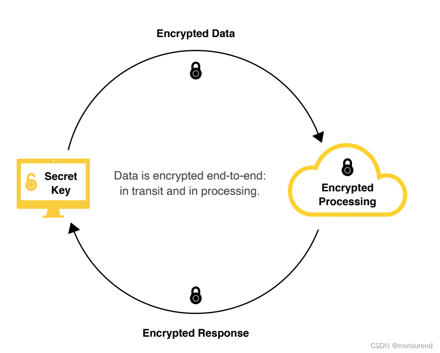 FHE全同态加密介绍——小白版-CSDN博客