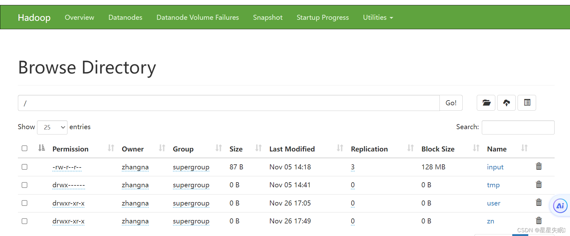 HDFS JAVA API的应用_使用javaapi查看hdfs路径下所有的文件夹-CSDN博客