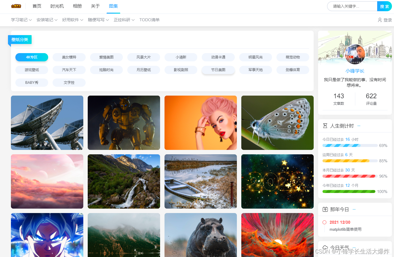 【教程】Typecho Joe主题开启并修复壁纸相册不显示问题-CSDN博客