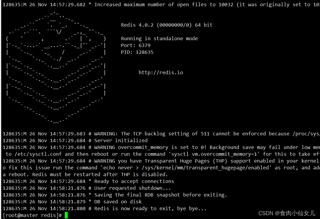 Linux上安装Redis教程_linux redis 4.0-CSDN博客