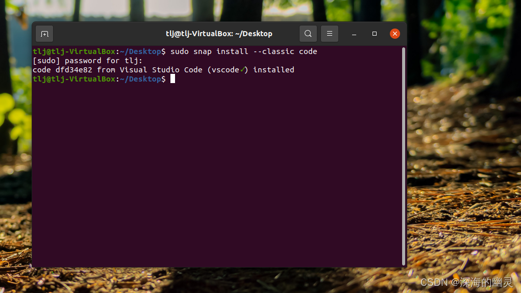 Ubuntu20.04 VSCode 配置C++环境及GTK+配置【纯个人总结用】_如何在ubuntu vscode 配置gtk-CSDN博客