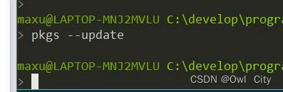 【BUG解决】RT-Thread studio更新软件包，报错pkgs --update 无效?_rt-thread studio 更新软件包-CSDN博客