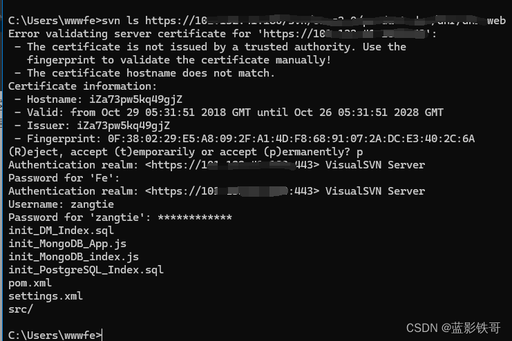 idea更新svn提示无法连接（E170013）_svn e170013-CSDN博客