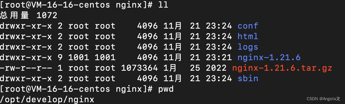 nginx教程:安装/简单使用_nginx 安装命令-CSDN博客