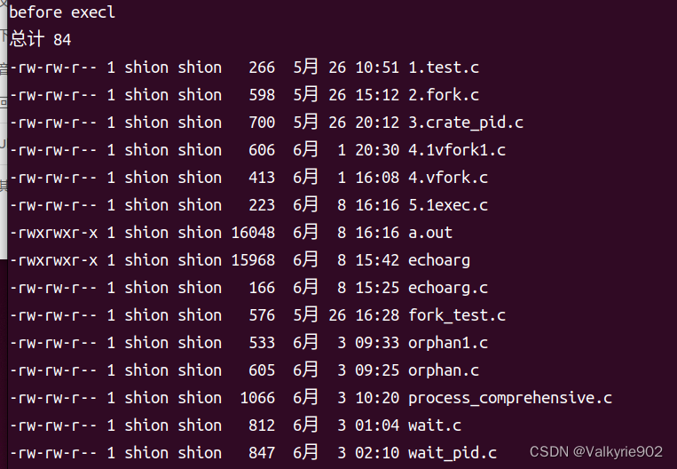LINUX进程——执行文件——exec族函数_linux exec-CSDN博客