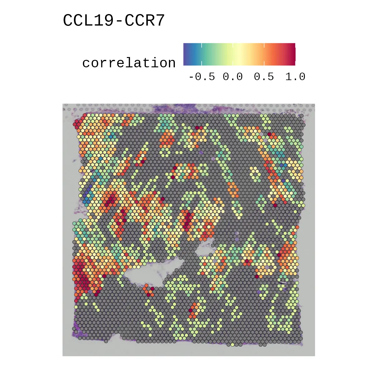 10X单细胞 && 10X空间转录组分析之cellphoneDB可视化进阶-CSDN博客