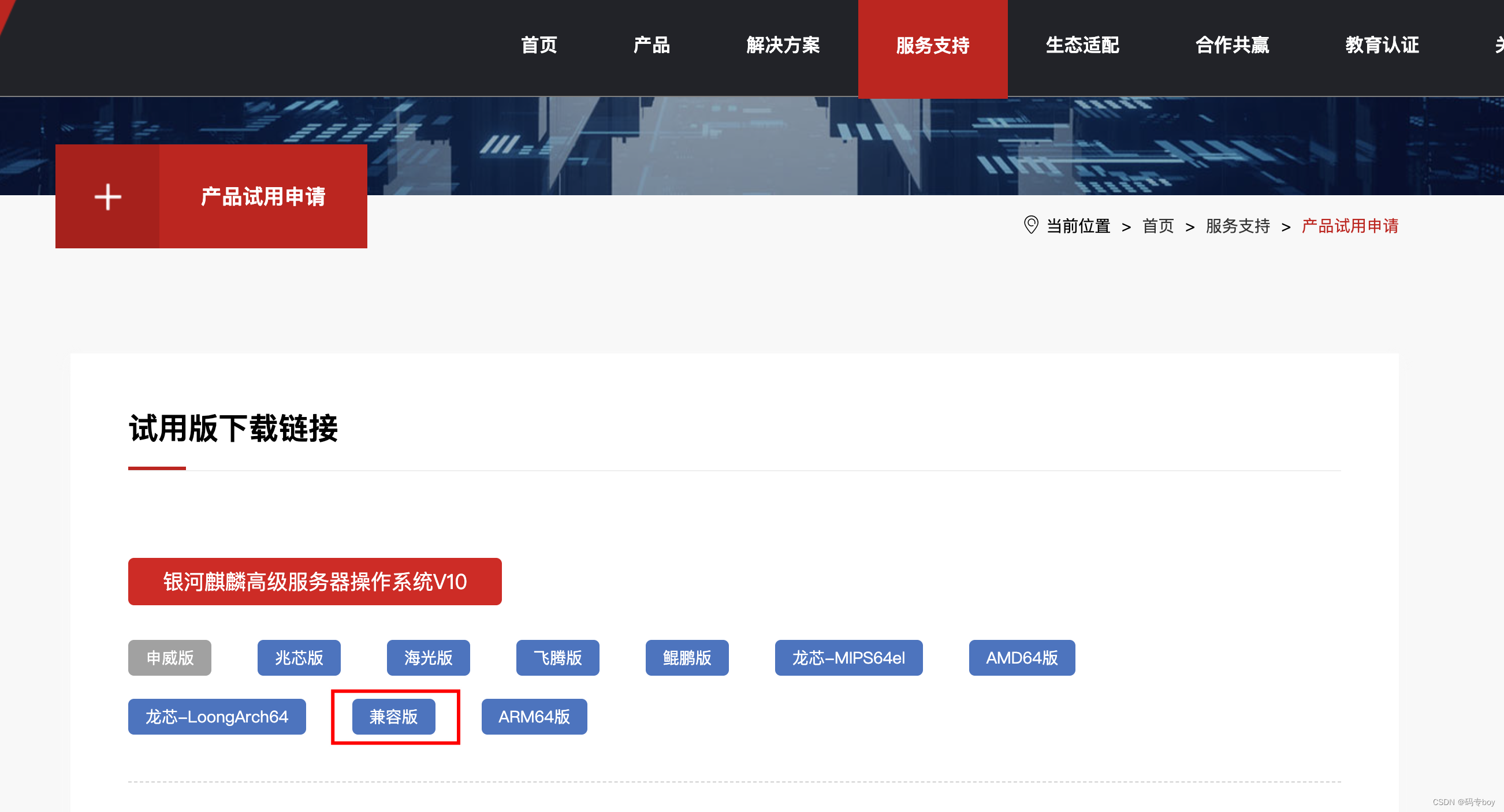 Vmware Esxi虚拟安装麒麟os高级服务器系统 兼容版 Csdn博客