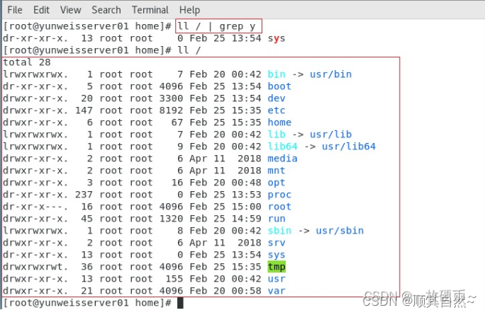 Linux管道符详解 Csdn博客