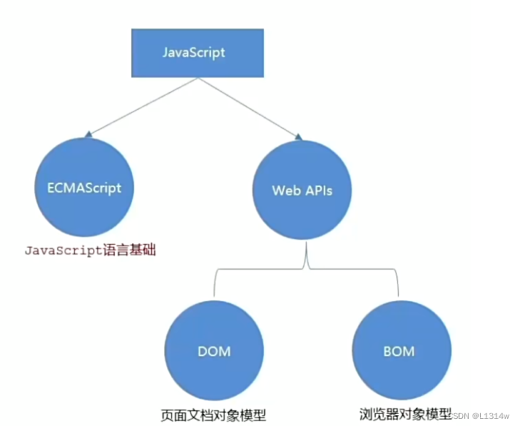 JS基础知识点_switch case mdn-CSDN博客