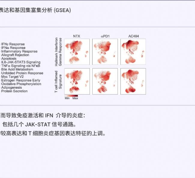 首例被攻克的 “不可成药“ 新靶点: PTPN2/PTPN1 - MedChemExpress_abbv-cls-484-CSDN博客