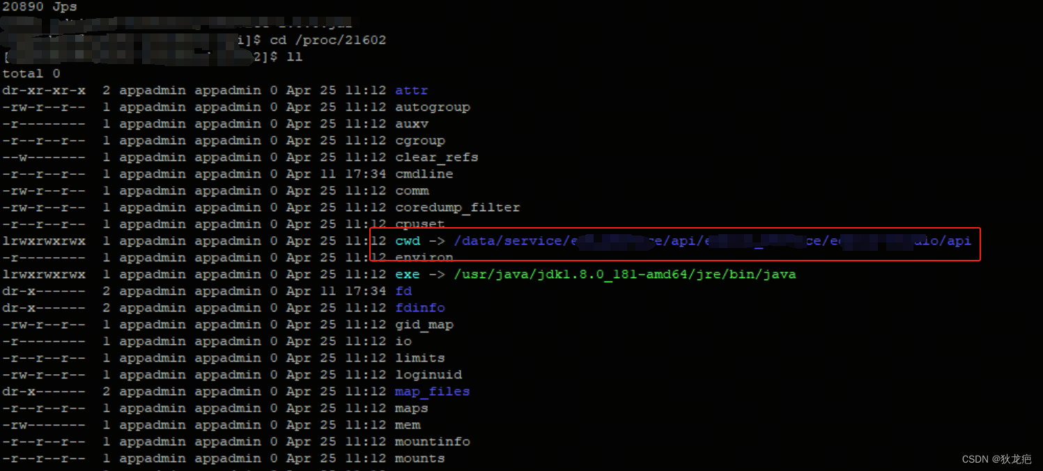 linux 上 jps 列出一堆 jar，如何快速定位 jar 文件启动位置？_jps 查看jar路径-CSDN博客