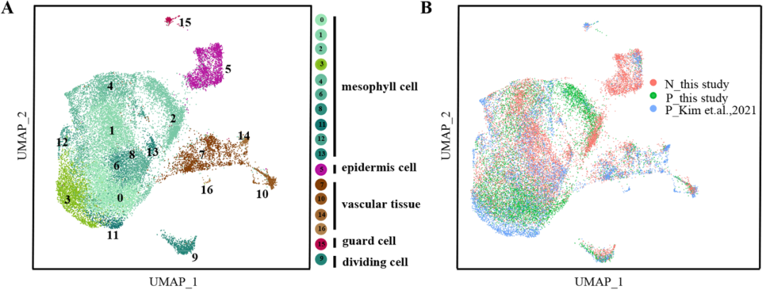 snRNA-seq vs scRNA-seq谁更nice，用数据说话-CSDN博客