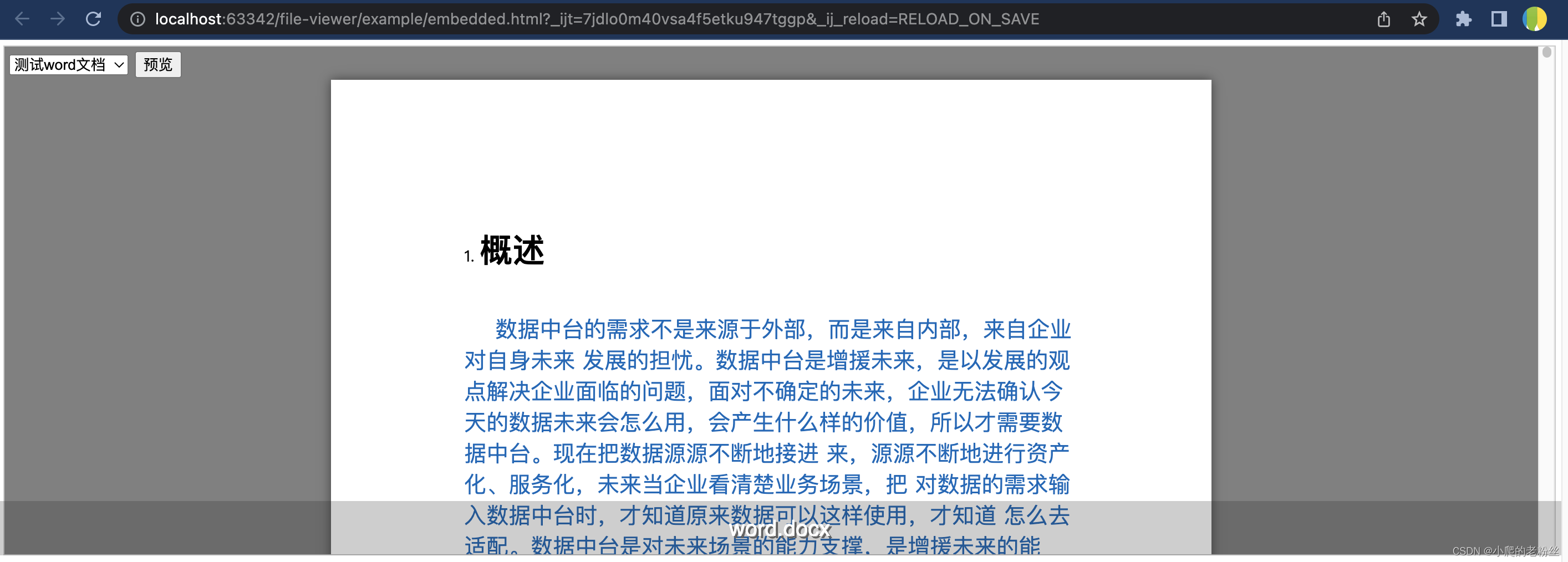 基于vue2实现的文件在线预览 File Viewer使用指南 Csdn博客 