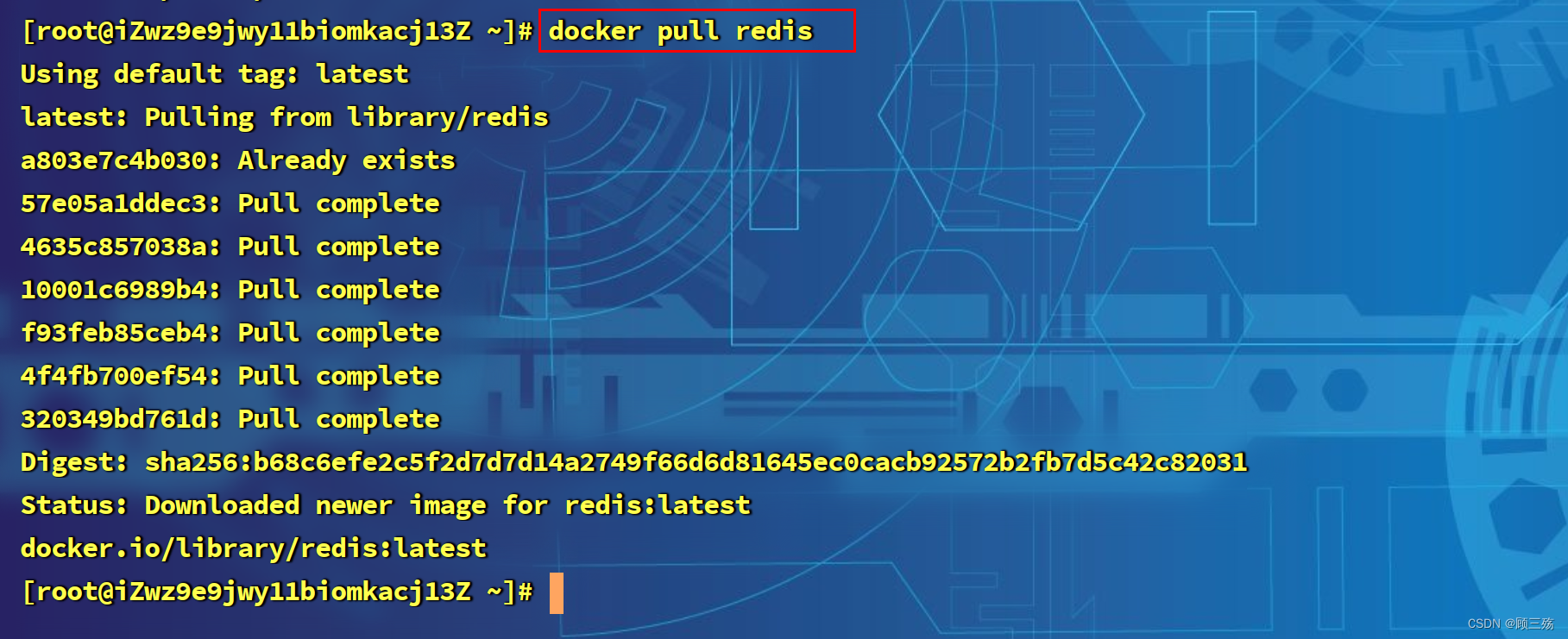 【Linux】Centos 8 服务器部署：docker 安装 jdk、nginx、nacos、redis、Sentinel Dashboard_docker部署jdk-CSDN博客
