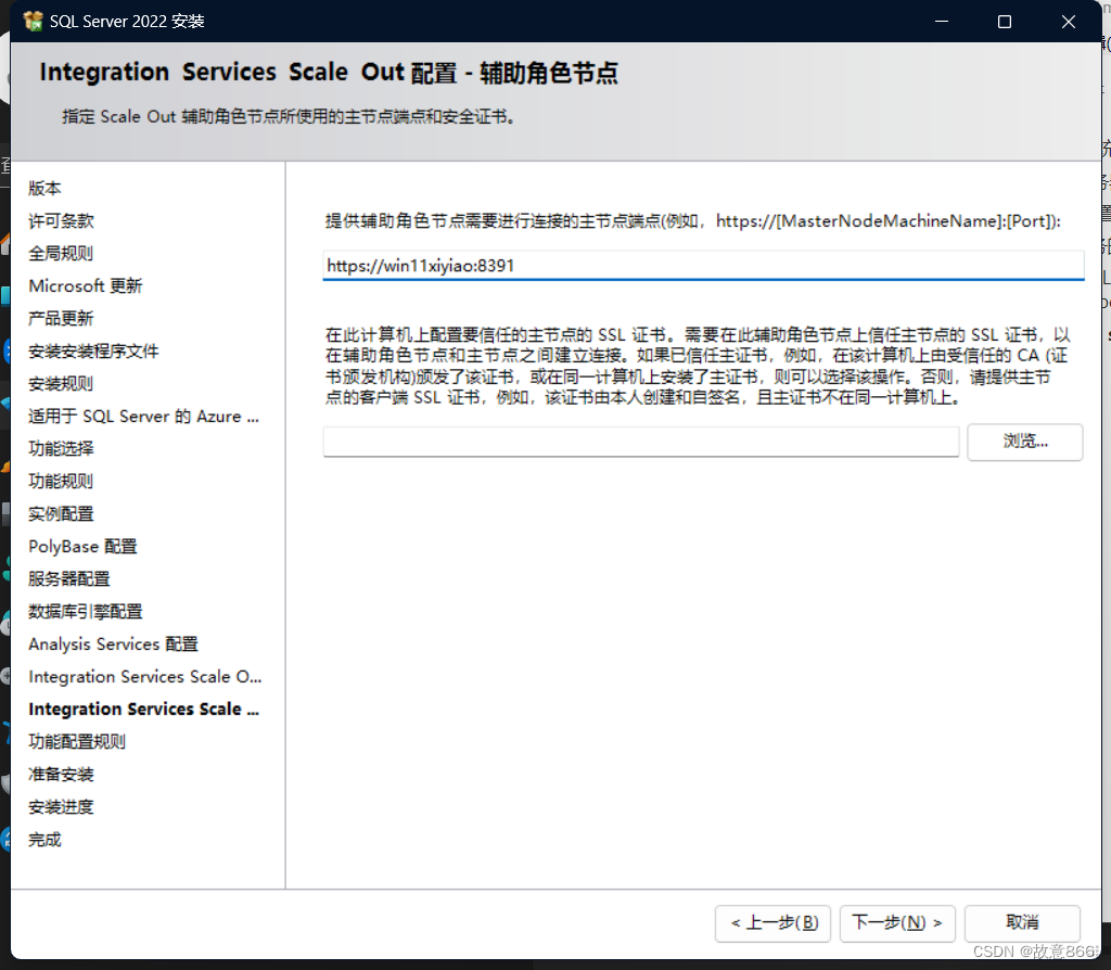 安装SQL Server 2022 Developer（保姆教程）-CSDN博客