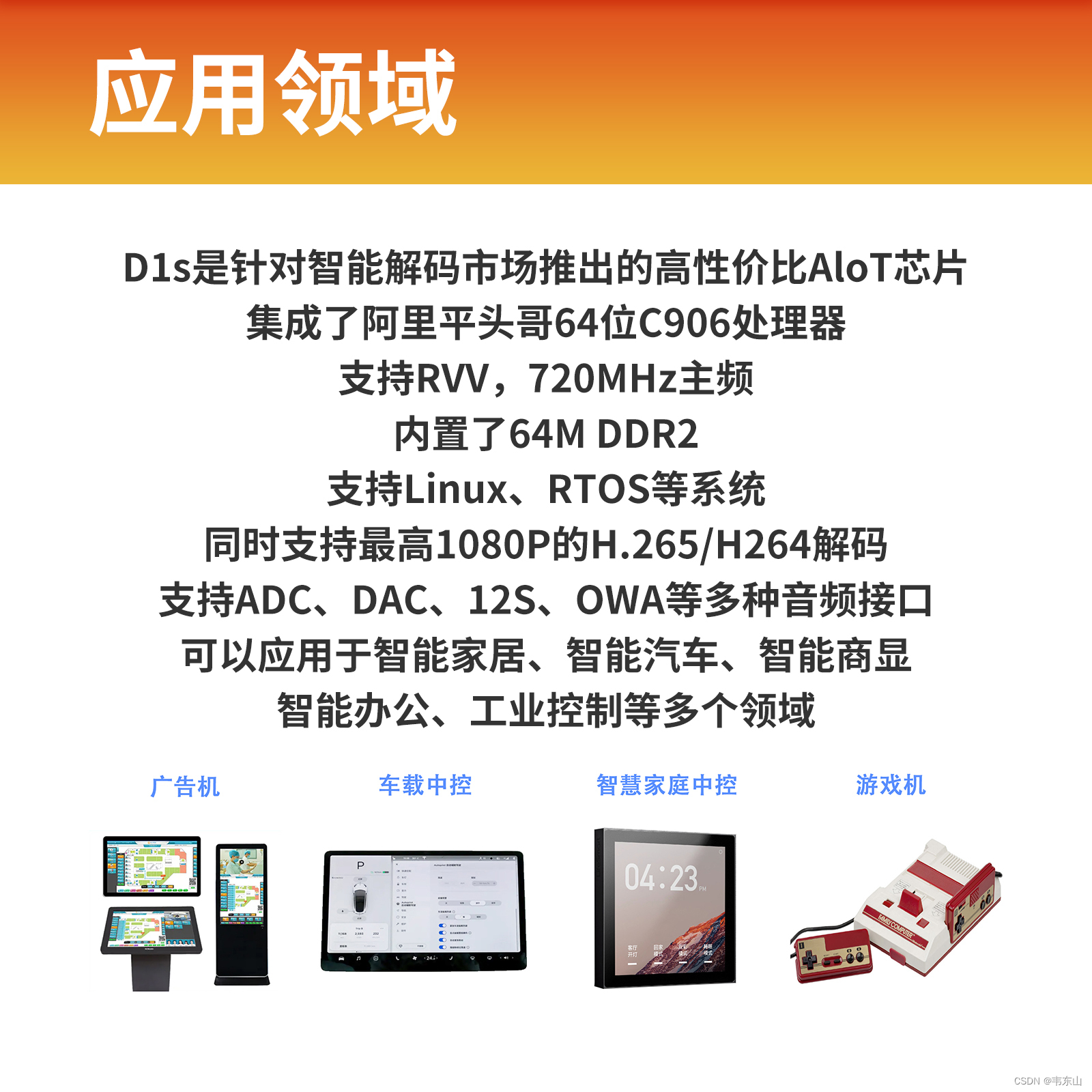 DshanLite-RV最小板，采用国产全志RISC-V C906支持Linux RTOS等，用来学习RISC-V架构开发 DIY产品设计首选！！！_全知t113 c906-CSDN博客