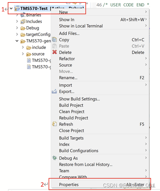 TMS570快速上手指南（1）--环境准备和LED闪烁-CSDN博客