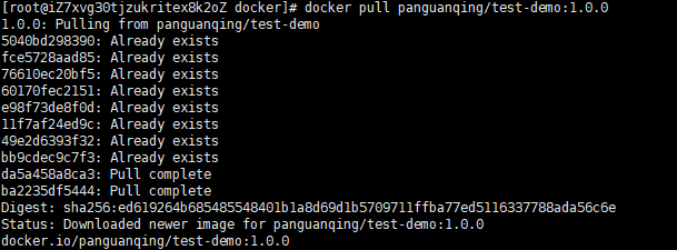 从Docker Hub上拉取自己的镜像到linux_如何从dockerhub拉自己的镜像-CSDN博客