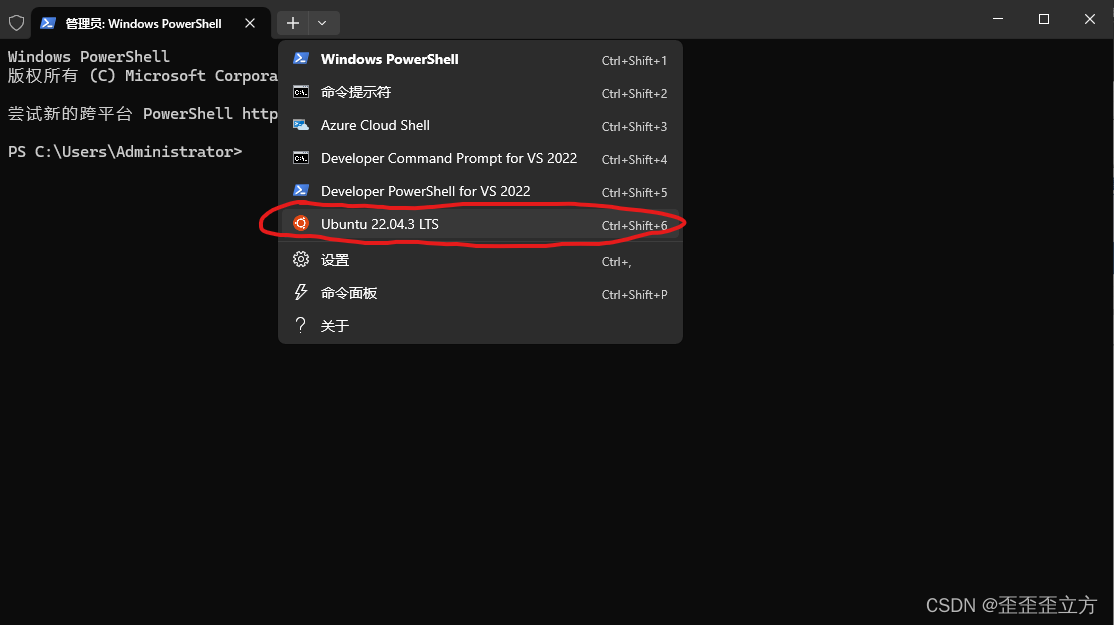 WSL2 +linux (Ubuntu22.04.3 LTS) + Xming可视化_wsl可视化-CSDN博客