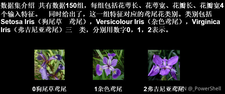 Python 深度学习基础 人工神经网络实现鸢尾花分类五人工神经网络分类代码 Csdn博客