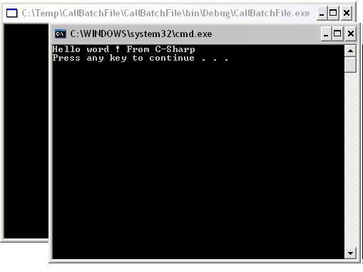 How to launch Windows applications (Notepad) / Call Batch files from a ...