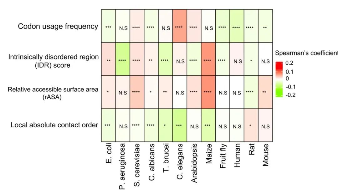 iMeta | VeloPro: 东京大学齐藤裕组揭示蛋白质翻译速率与结构特征关联模式的分析流程...-CSDN博客