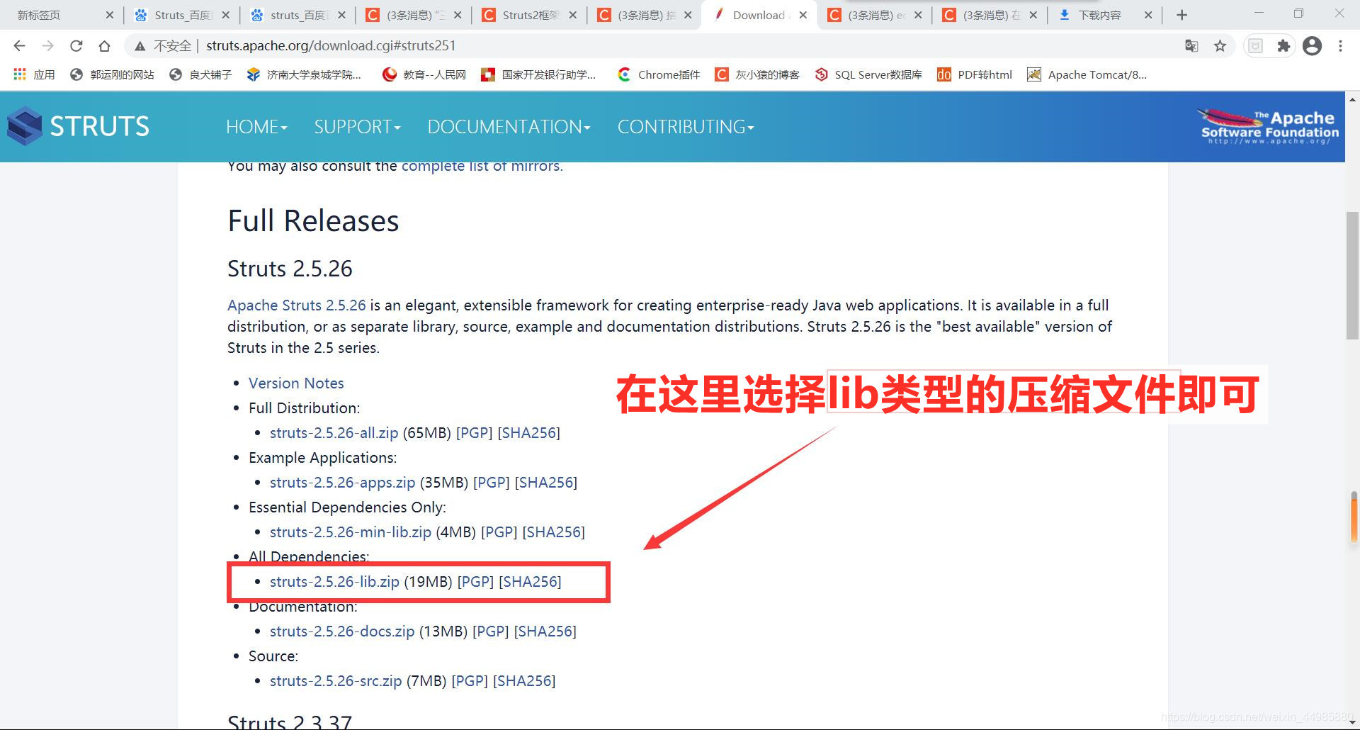 手把手教你快速搭建Struts2框架【详细教程，建议收藏】_struts2教程-CSDN博客