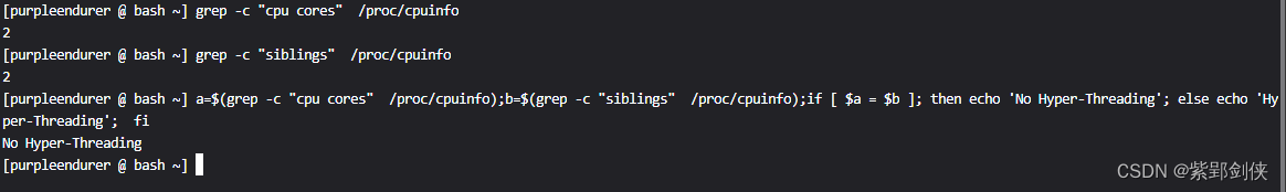 Linux shell编程学习笔记51： cat /proc/cpuinfo：查看CPU详细信息_cat cpuinfo-CSDN博客