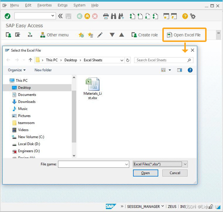 使用按钮从 SAP 系统内打开 Excel 文件_sap 查询 kp27 自动打开excle-CSDN博客