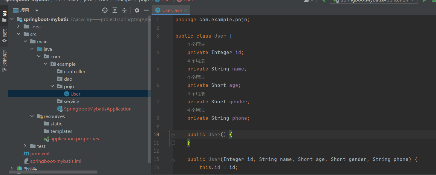 SpringBoot——基于SpringBoot整合Mybatis的入门案例+sql提示配置+lombok工具包介绍_springboot+mybatis 显示sql配置-CSDN博客