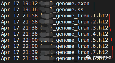 Hisat2安装及比对_hisat2比对-CSDN博客