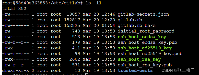 gitlab配置了ssh但是不能用，http可以clone_gitlab 配置gitlab ssh clone-CSDN博客
