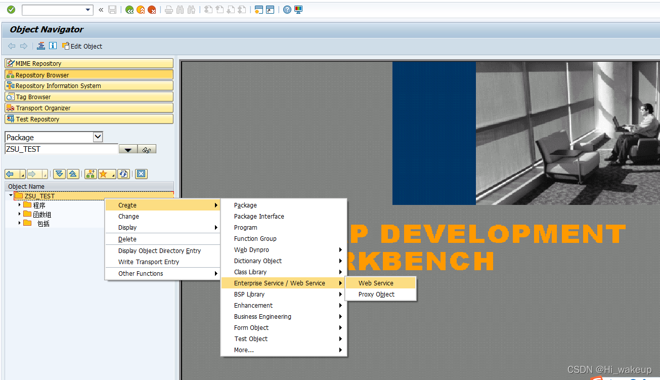 SAP接口技术详解：WebService、ALE/IDOC、RFC、BAPI与中间件-CSDN博客