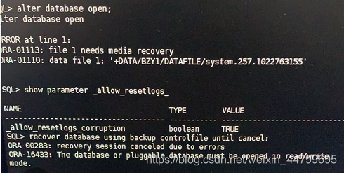 Oracle RAC 数据库恢复-CSDN博客
